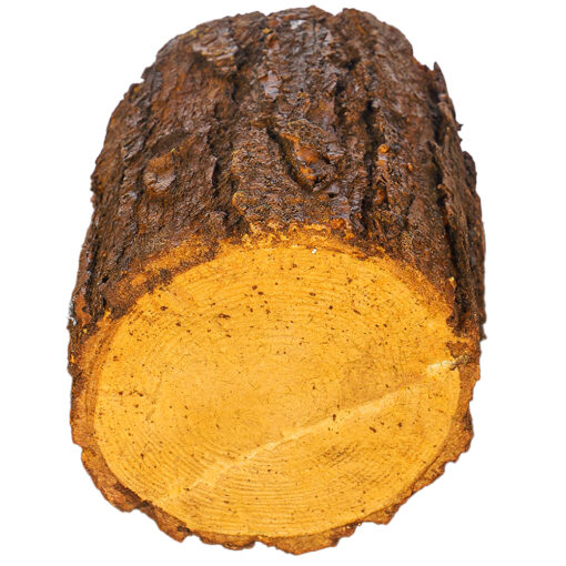 Decorative Artificial Tree Trunk - Royal Plants & Flowers